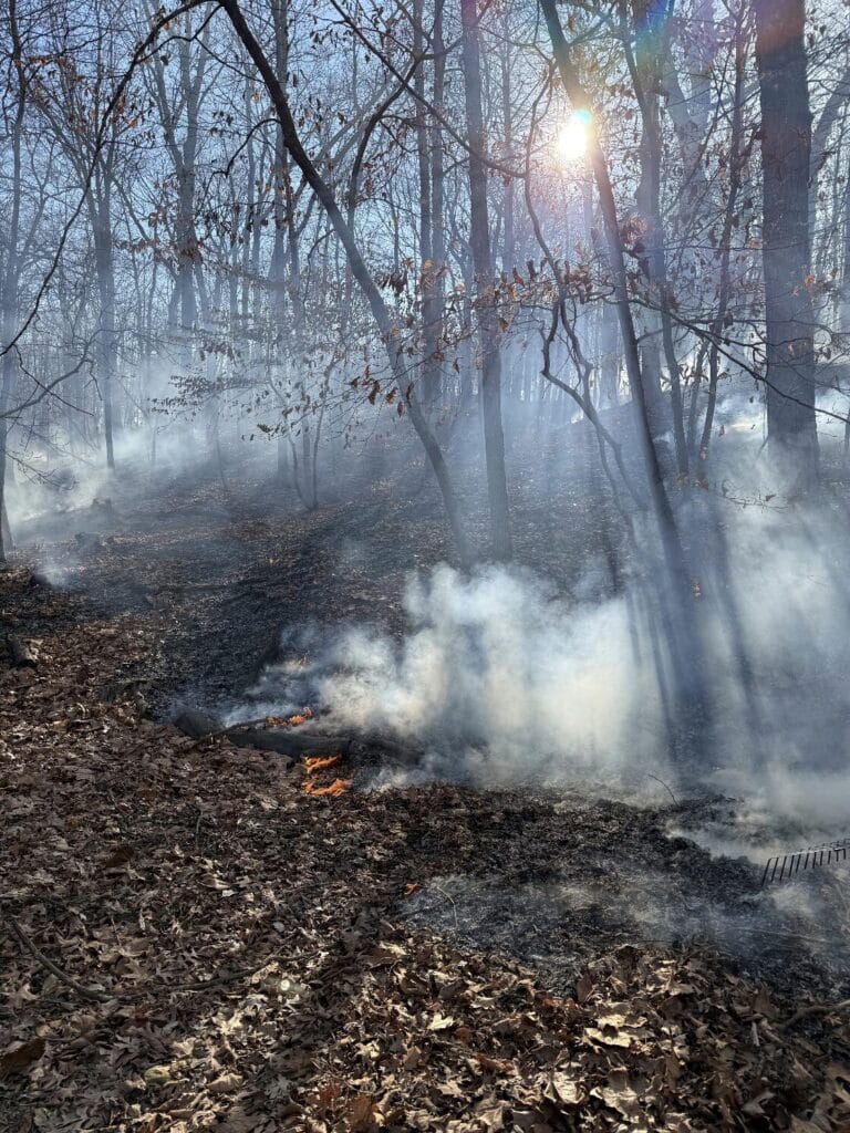 Prescribed Burn: The Beneficial Fire with Potential Liability ...