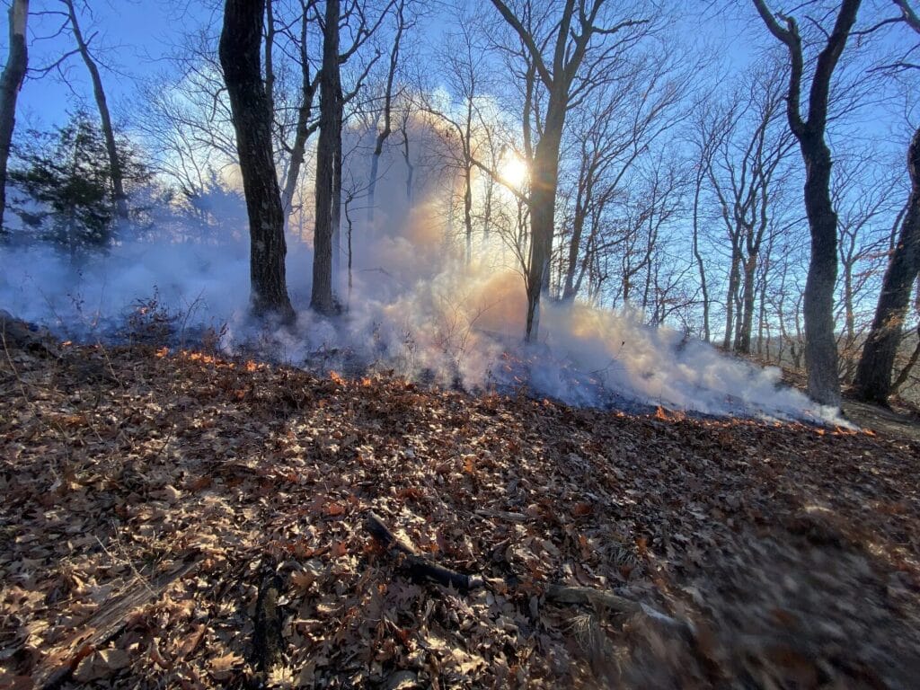 Prescribed Burn: The Beneficial Fire with Potential Liability ...