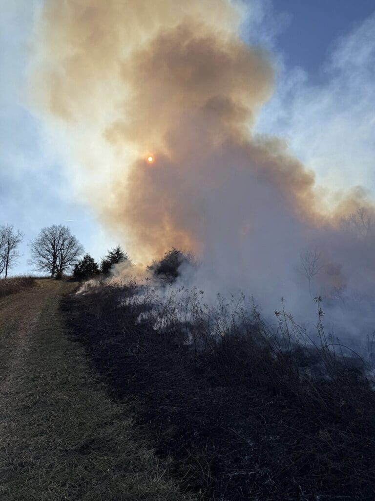 Prescribed Burn: The Beneficial Fire with Potential Liability ...